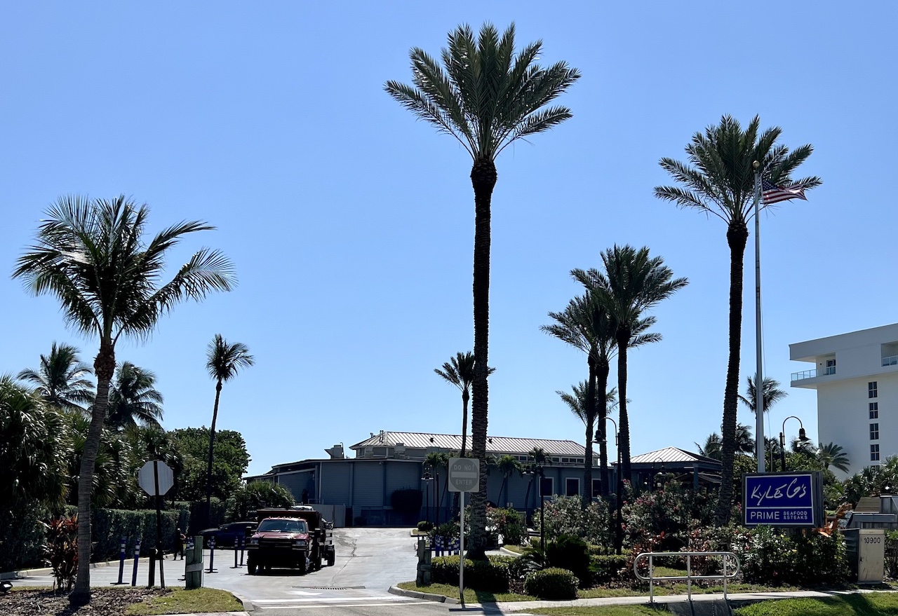 Tree Removal in Stuart | Out on a Limb Tree Services